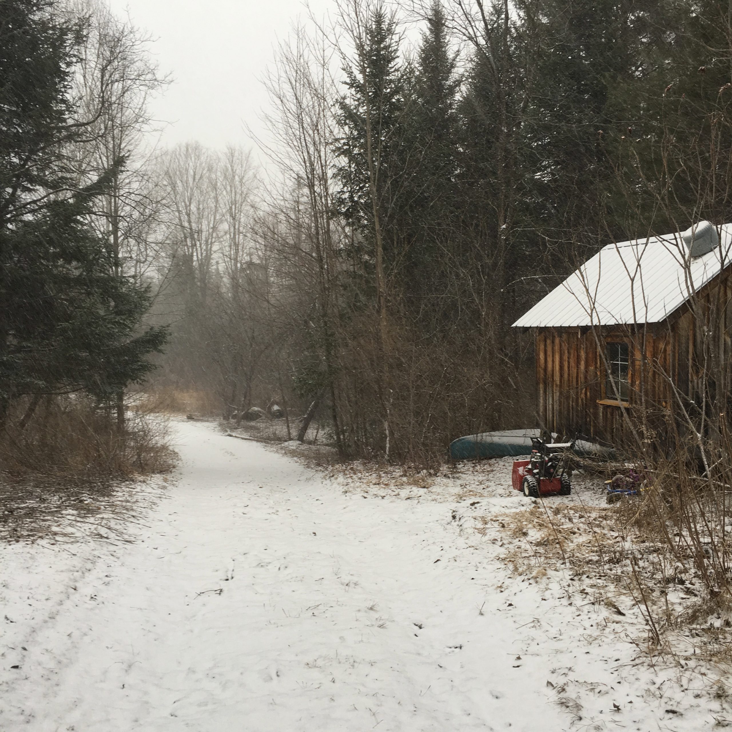 On Rural Noise | Rural Noise Ensemble